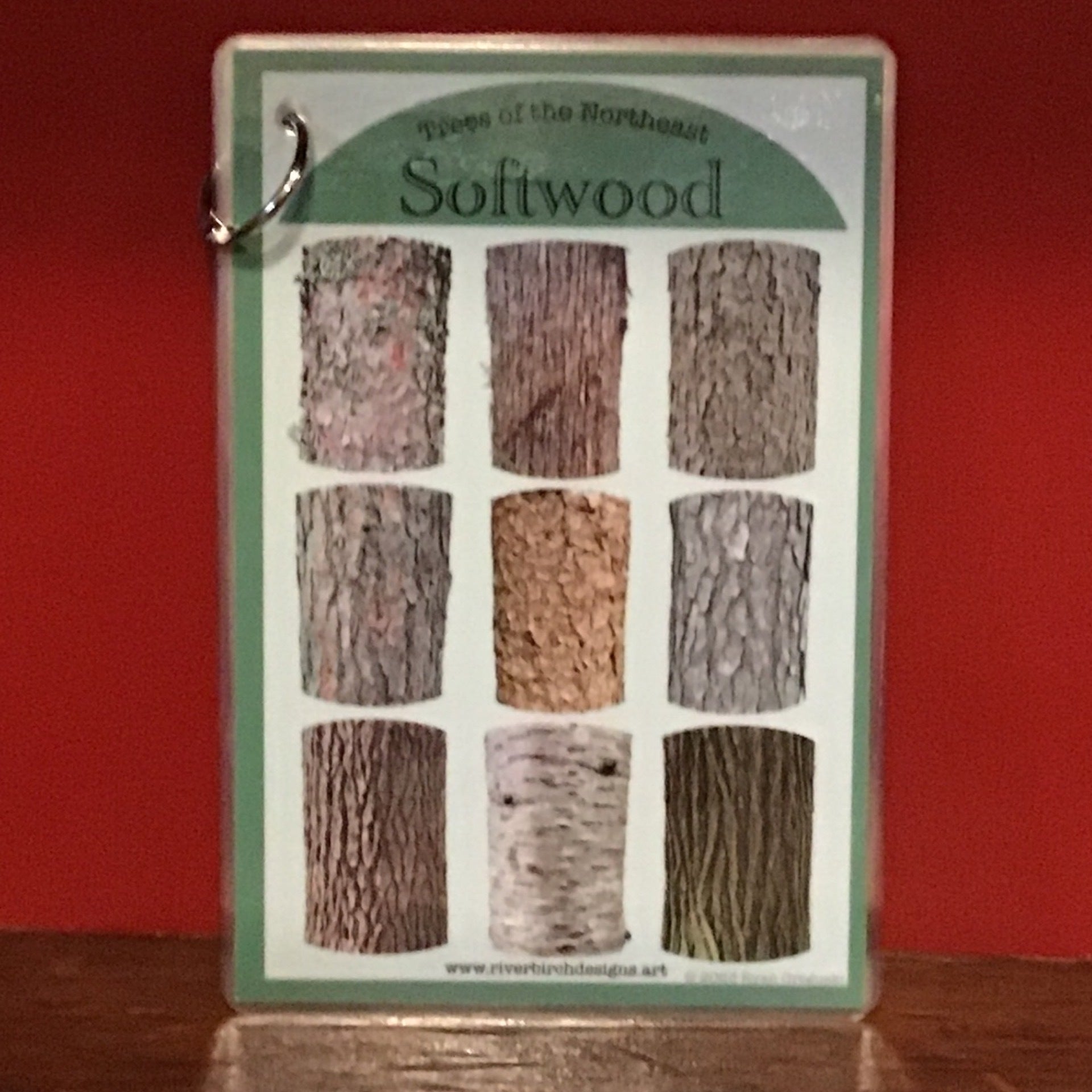 Tree Identification Guide | Great Camp Sagamore Store